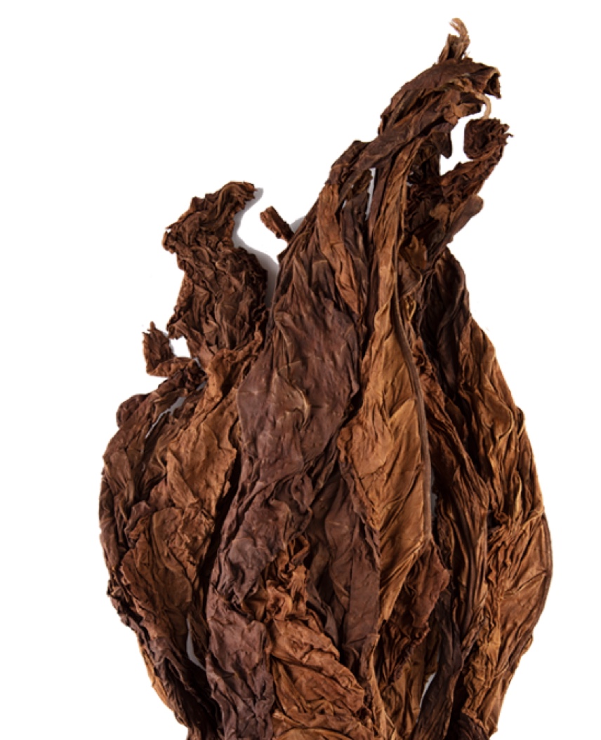 Products Archives - Global Provider of the Finest Tobacco